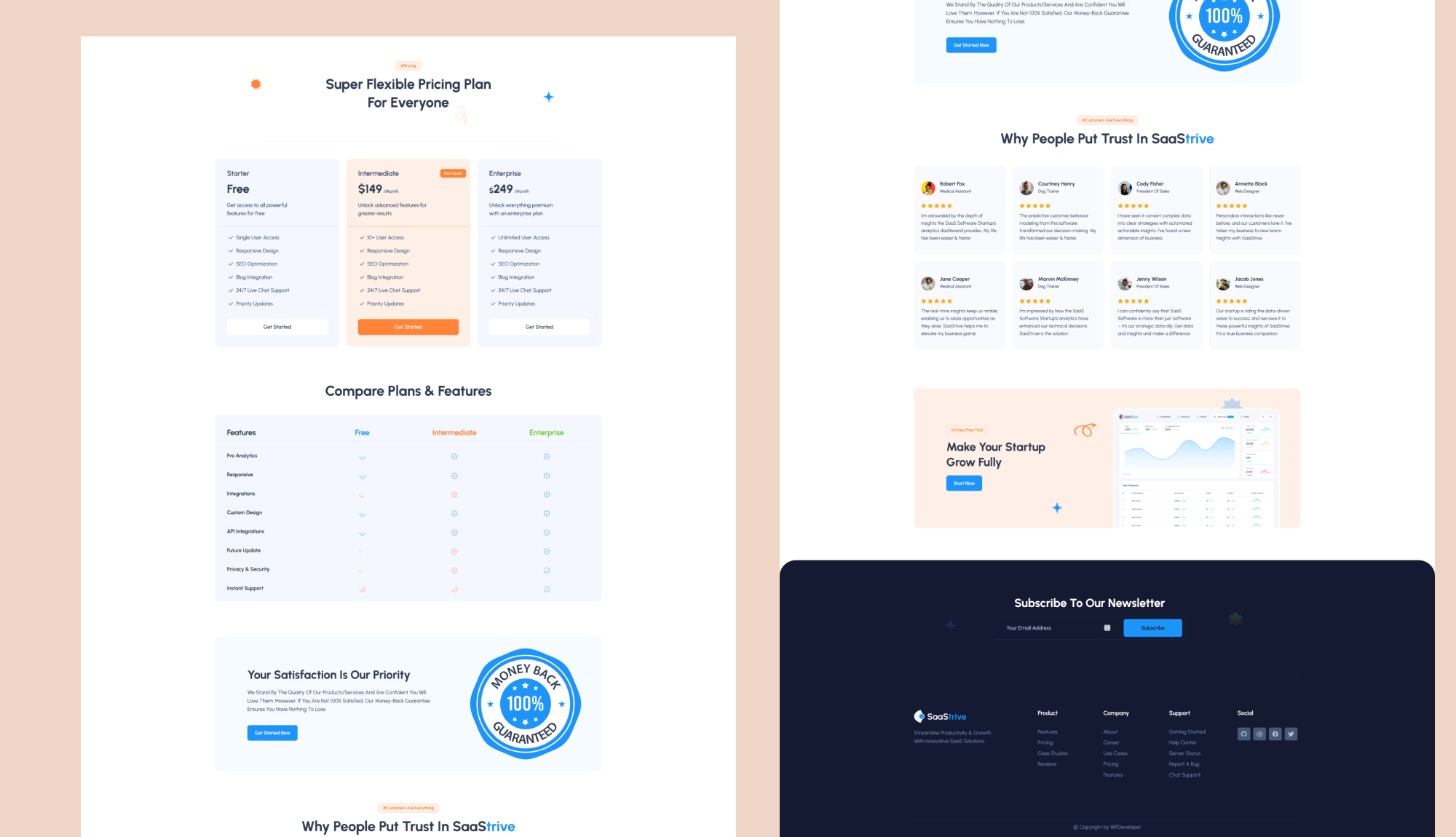 SaaStrive - SAAS Website Template For Elementor Pricing Page | Templately
