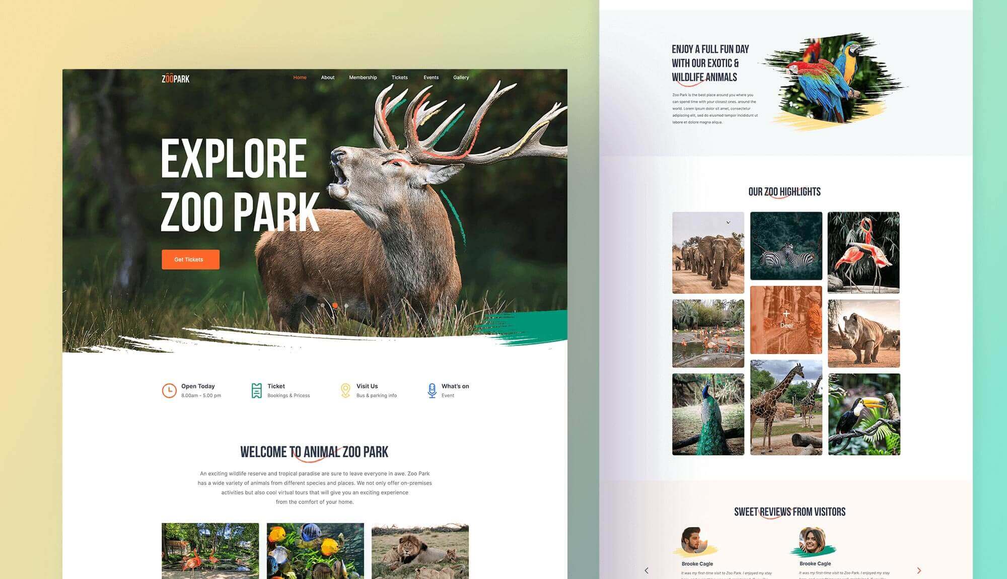 Zoo Park - Safari & Zoo Website Template Home Page | Templately