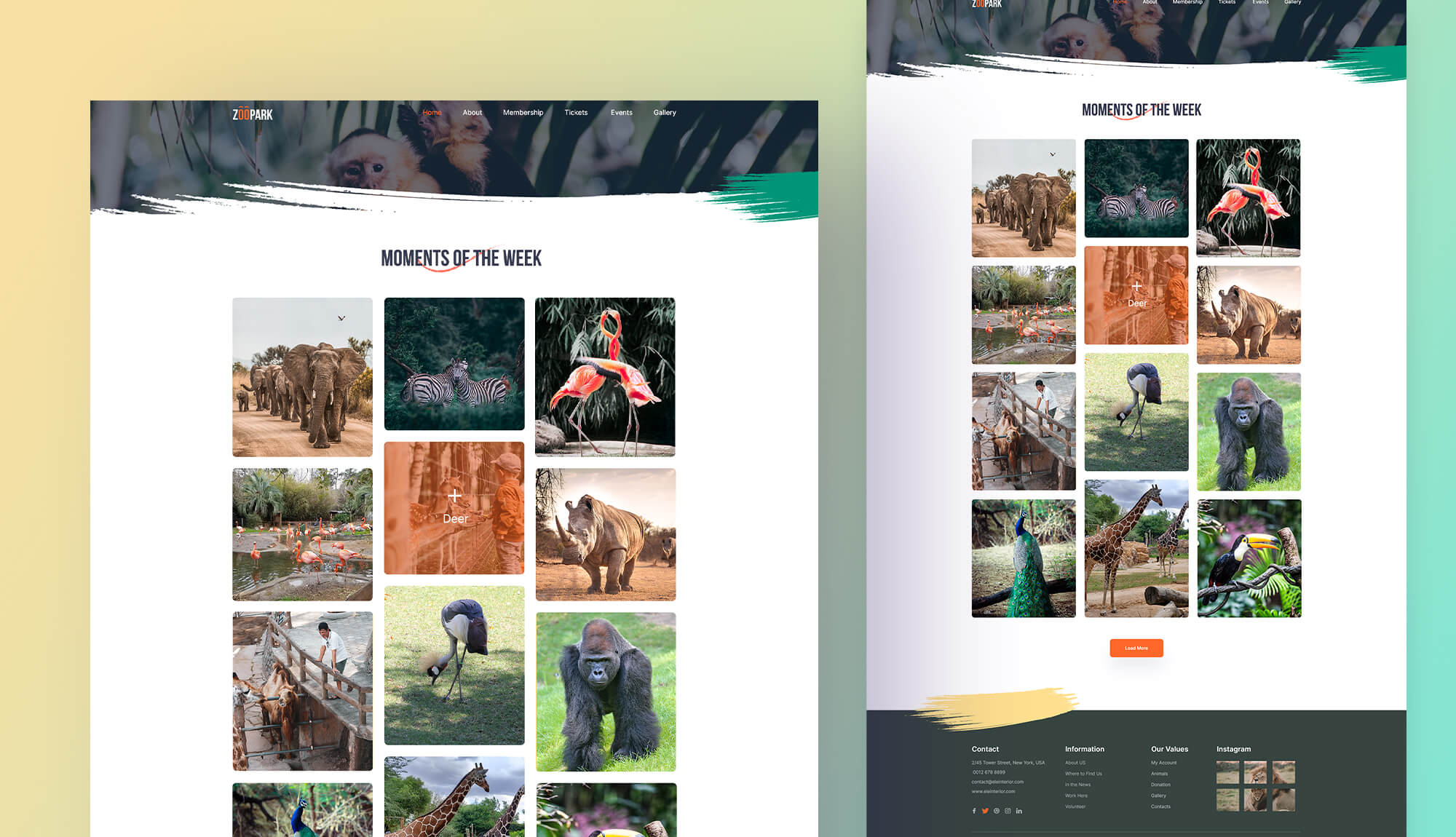 Zoo Park - Safari & Zoo Website Template Gallery Page | Templately
