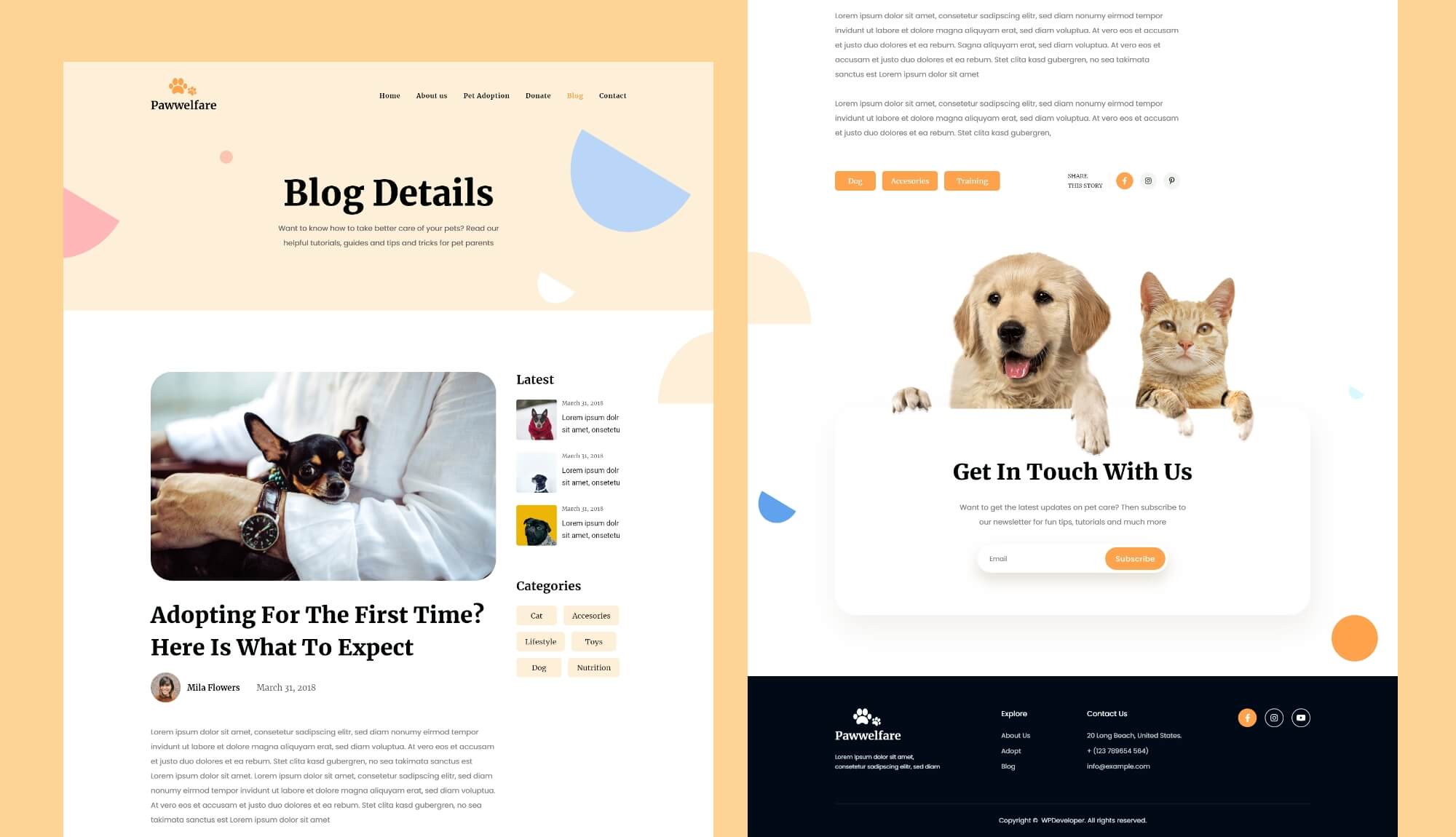 Pawwelfare Animal Welfare Website Template For Elementor | Templately