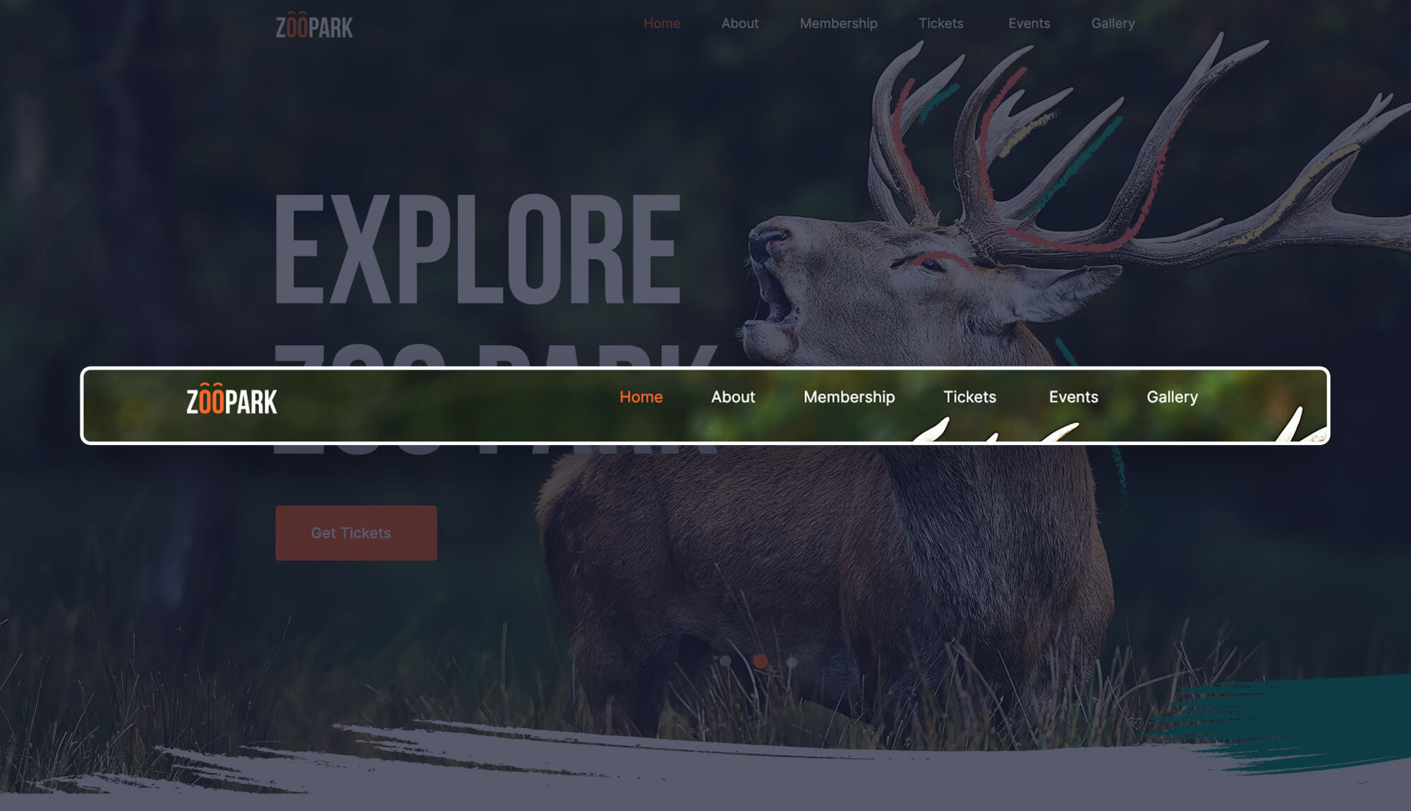 Zoo Park - Safari & Zoo Website Template Header | Templately
