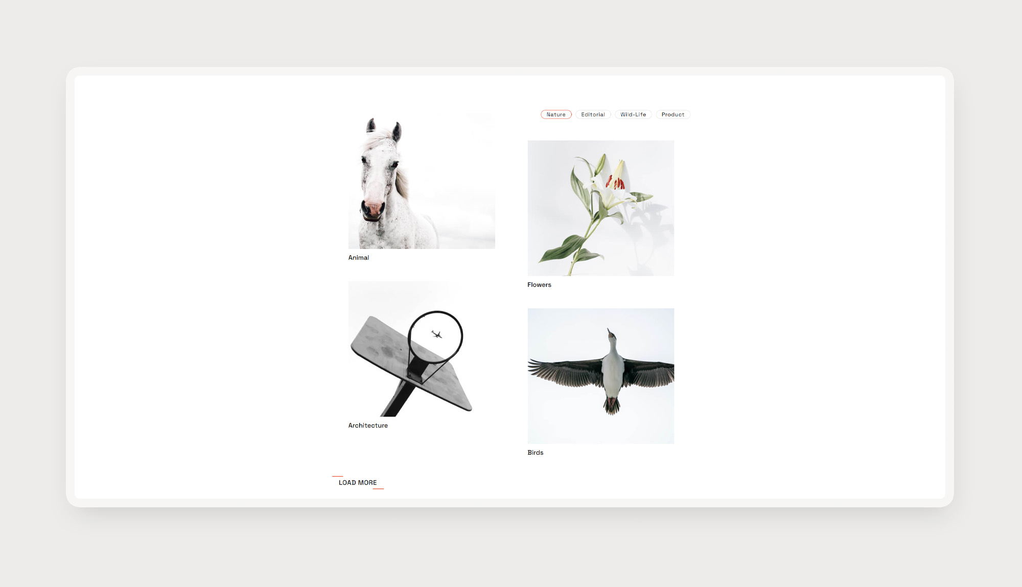LensLy - Photography Template For Elementor Gallery Section | Templately