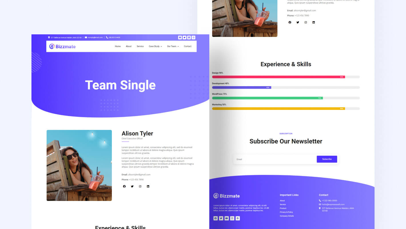 Bizzmate Agency Team Single Page | Templately