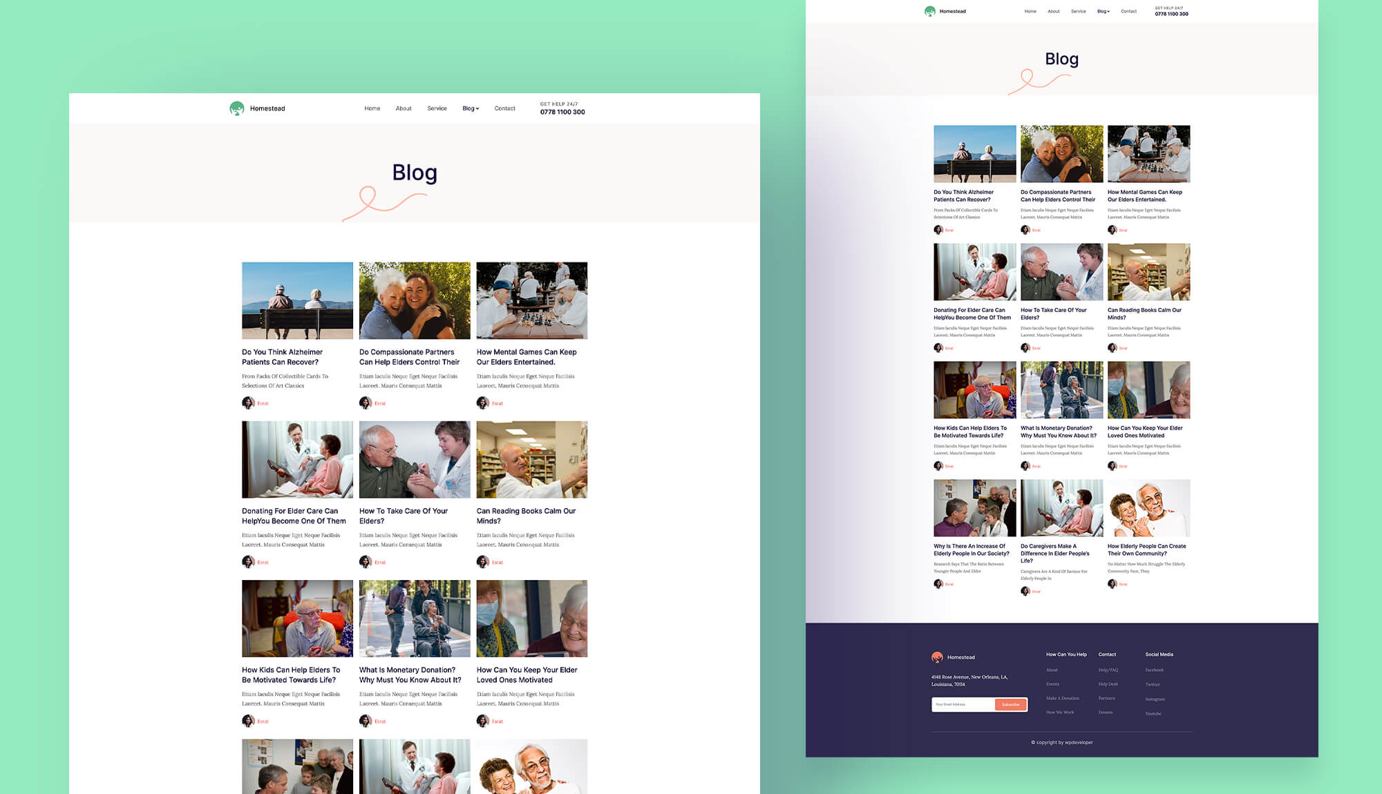 Homestead - Senior Care Service Website For Gutenberg Blog Page ...