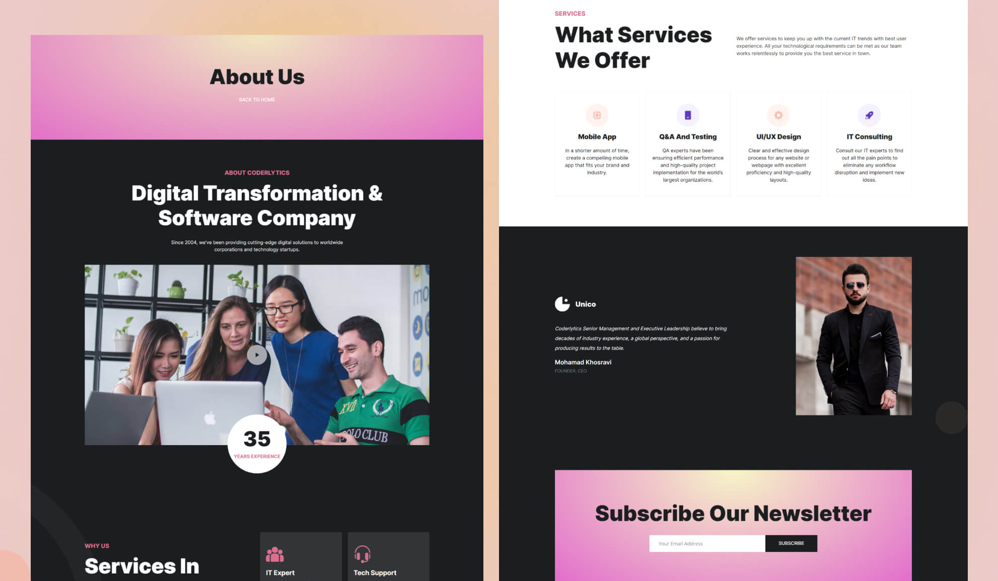 Coderlytics - Software Company Website For Gutenberg About Page ...